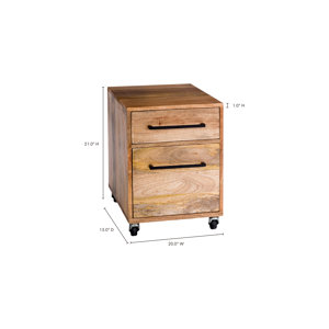 AllModern Ascent 2-Drawers Mobile Vertical Filing Cabinet & Reviews | AllModern